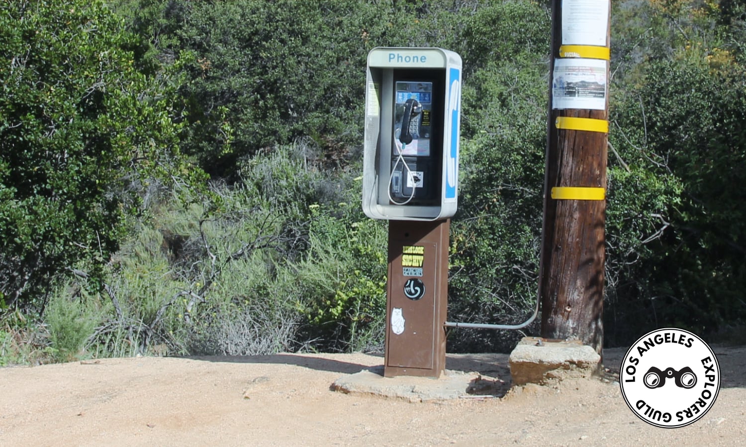 Takeaways: The Last Payphone Before the Forest – What Then?